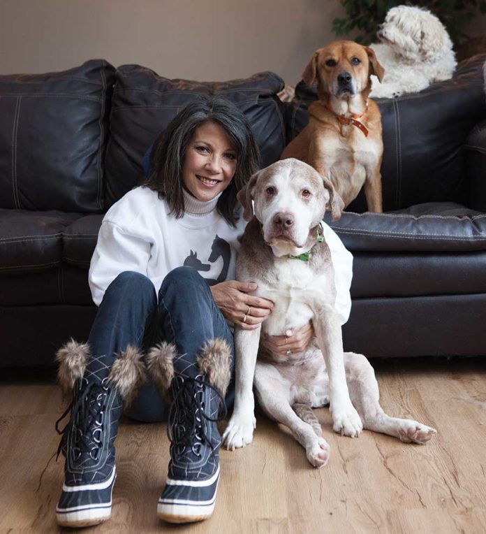 Silver Muzzle Cottage: A Rescue & Hospice For Homeless Senior Dogs - Michigan Country Lines Magazine