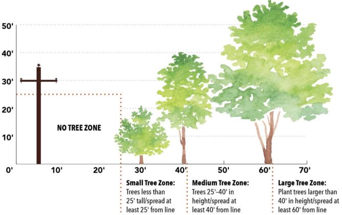 Tree Planting Mistakes That Cause Hazards In The Long Run - Michigan ...