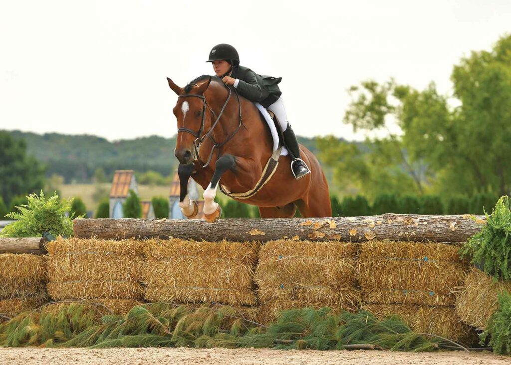 It's A Wild Ride - Michigan Country Lines Magazine