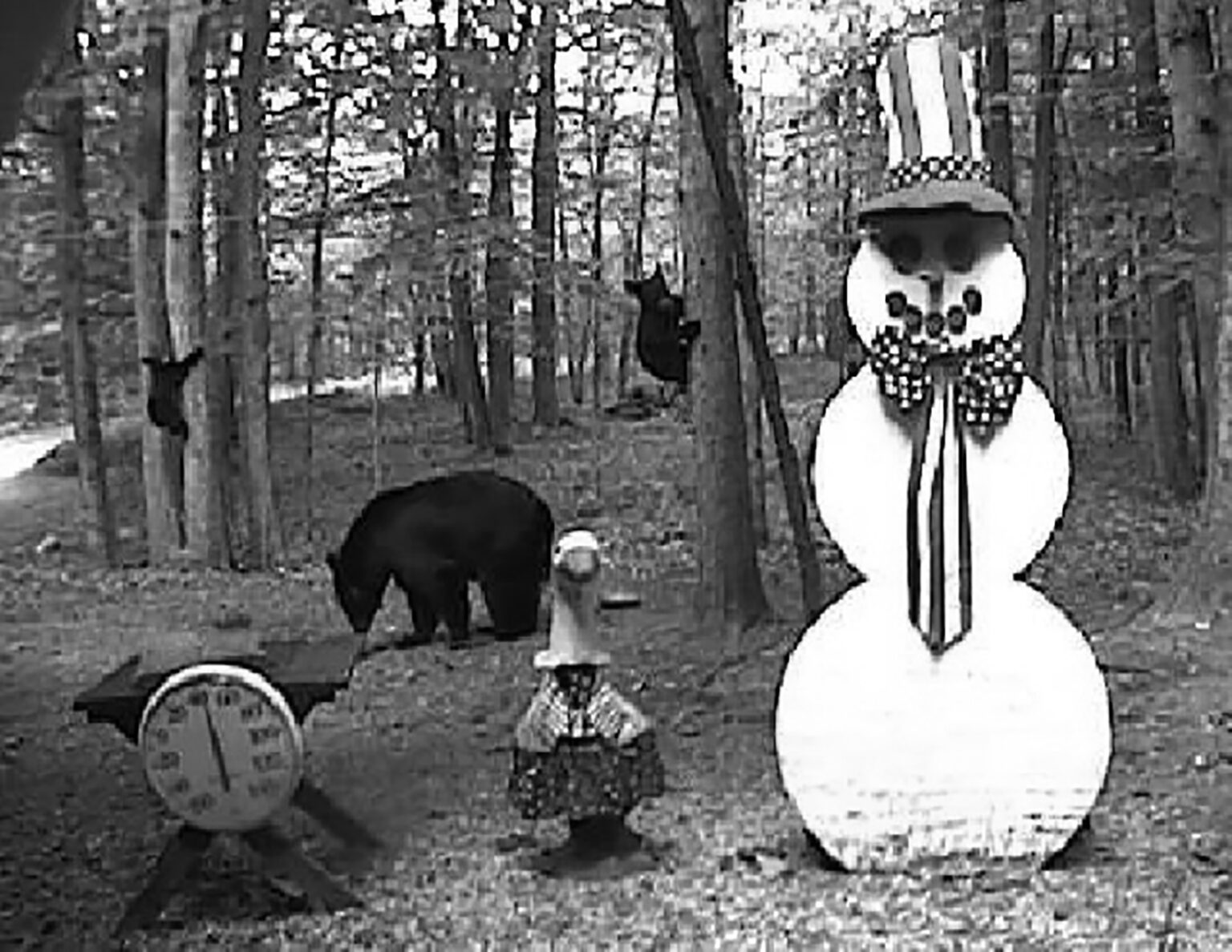 Snowman Cam - Michigan Country Lines Magazine