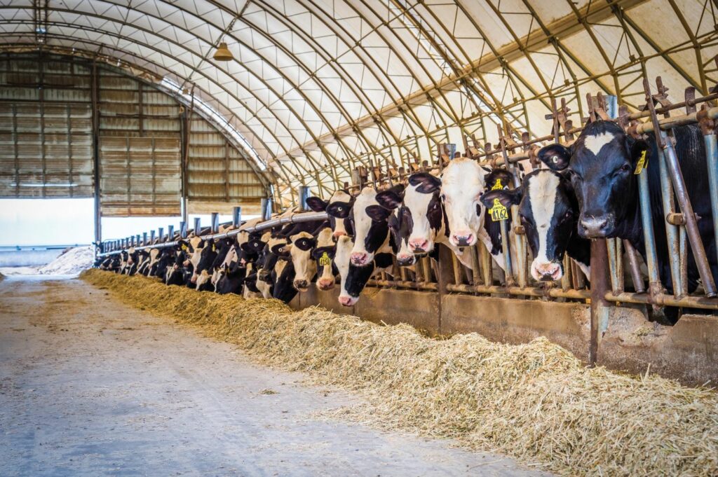 More Milk - Michigan Country Lines Magazine